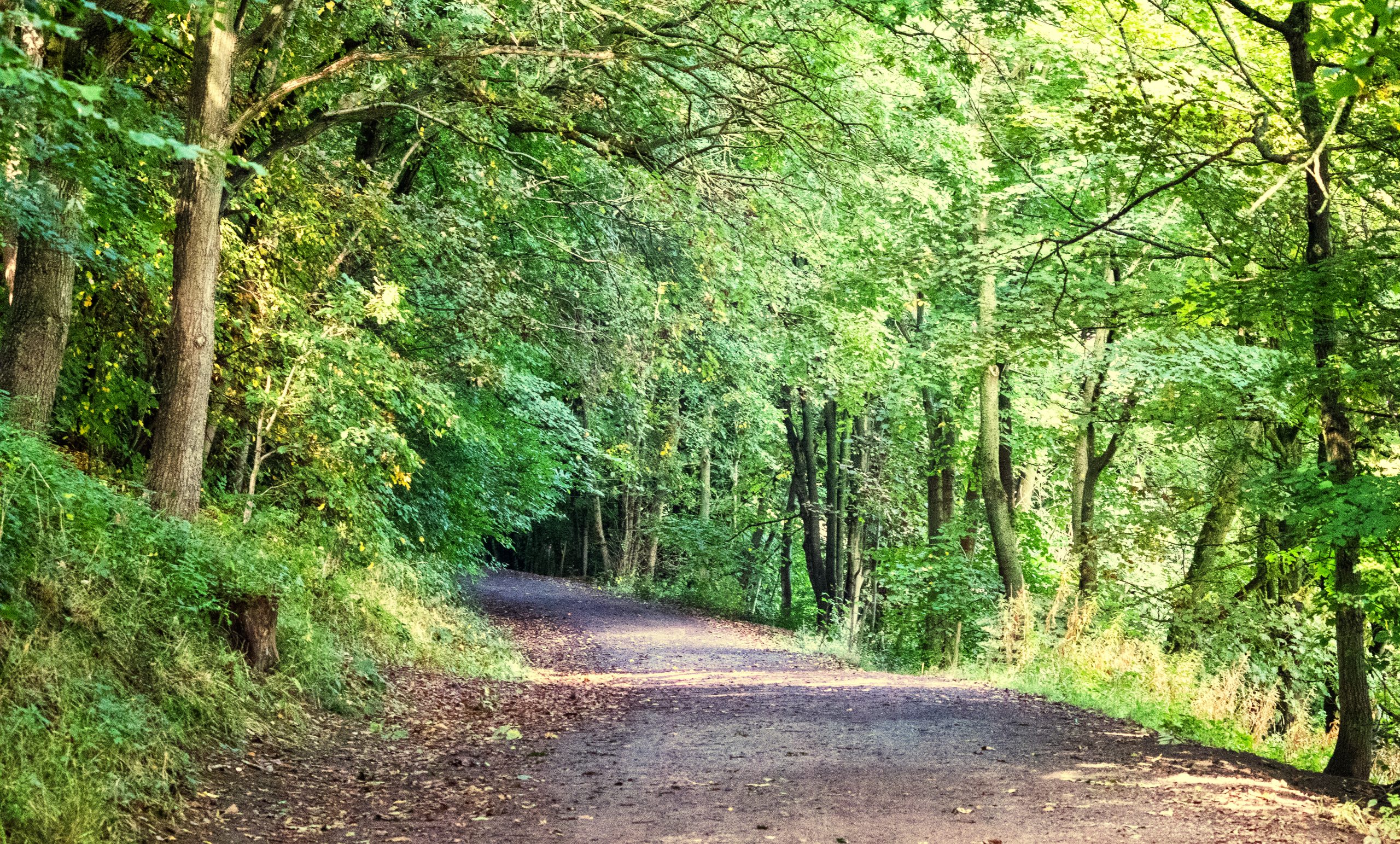 Archaeology - Martin Davis - Rinegate - Photography and Blog